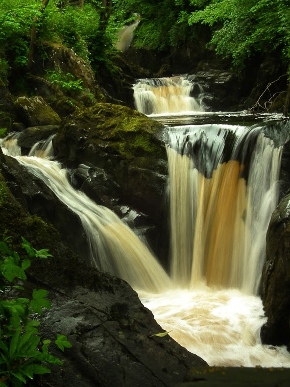 Local Attractions – bainbridge-ings-country park